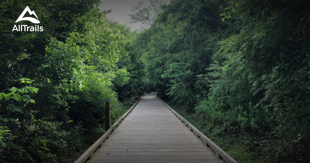 Best trail running trails in George Pierce County Park | AllTrails