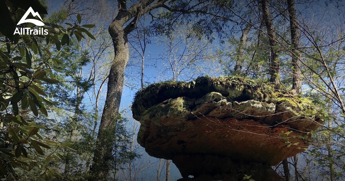 Best Trails in Natural Bridge State Park - Kentucky | AllTrails