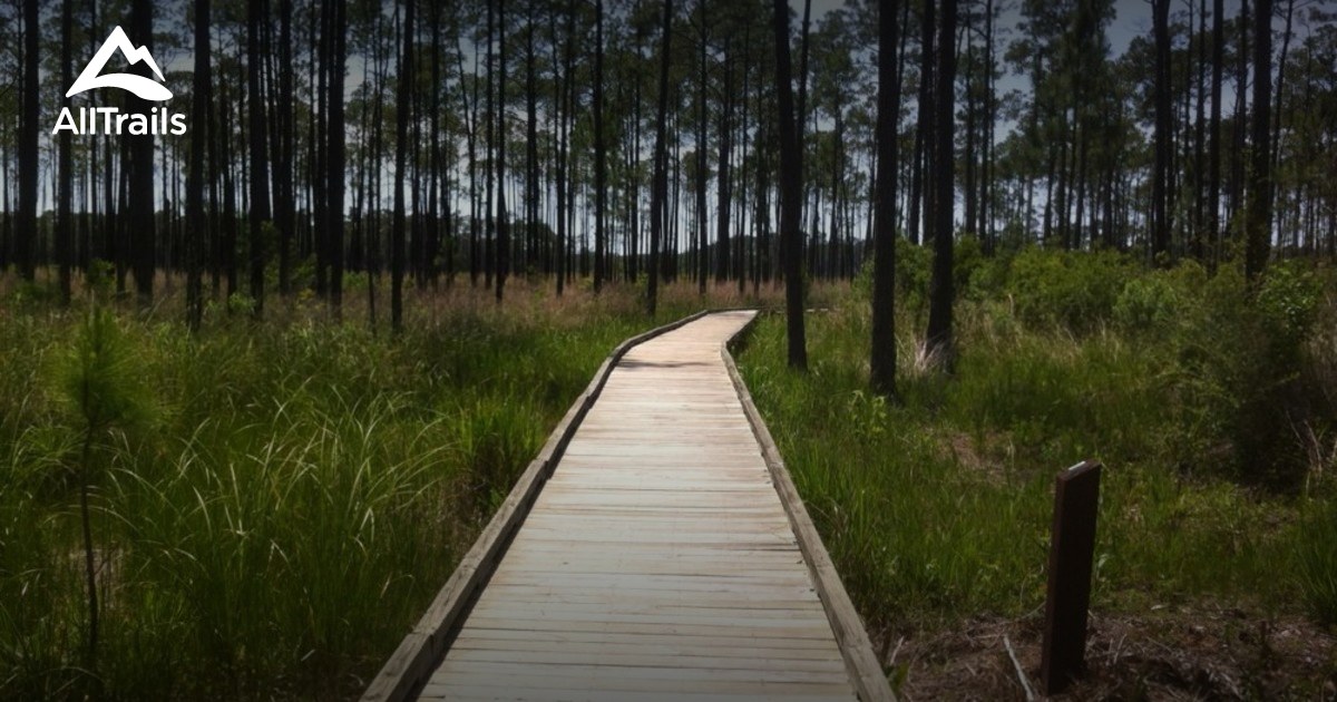 Best Trails in Big Branch Marsh National Wildlife Refuge | AllTrails