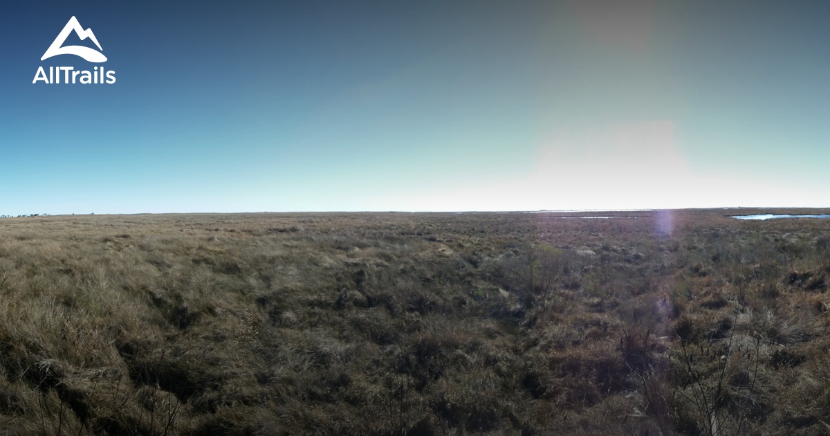 Best hikes and trails in Big Branch Marsh National Wildlife Refuge ...