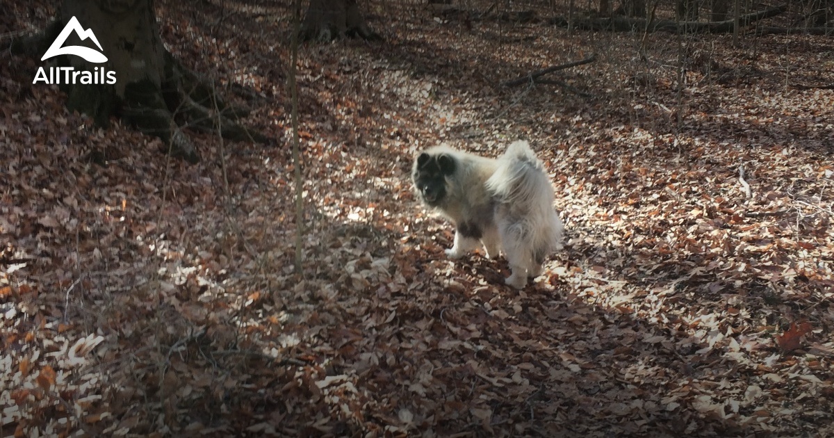 Best hikes and trails in L P Cosca Regional Park | AllTrails