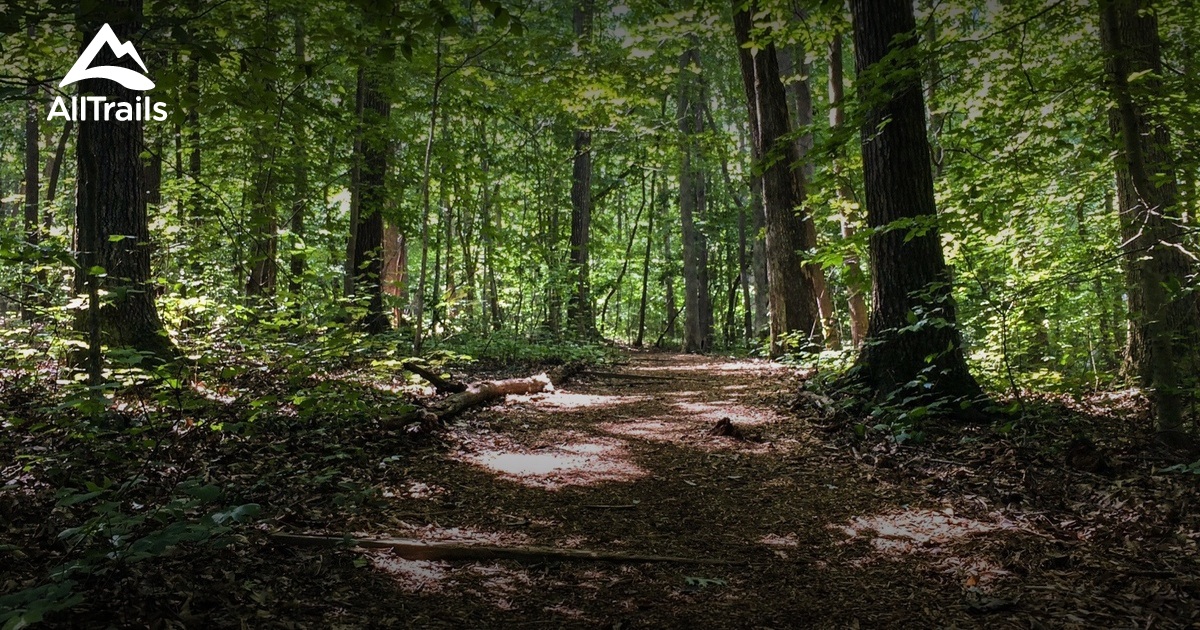 Best hikes and trails in Hemlock Bluffs State Natural Area | AllTrails