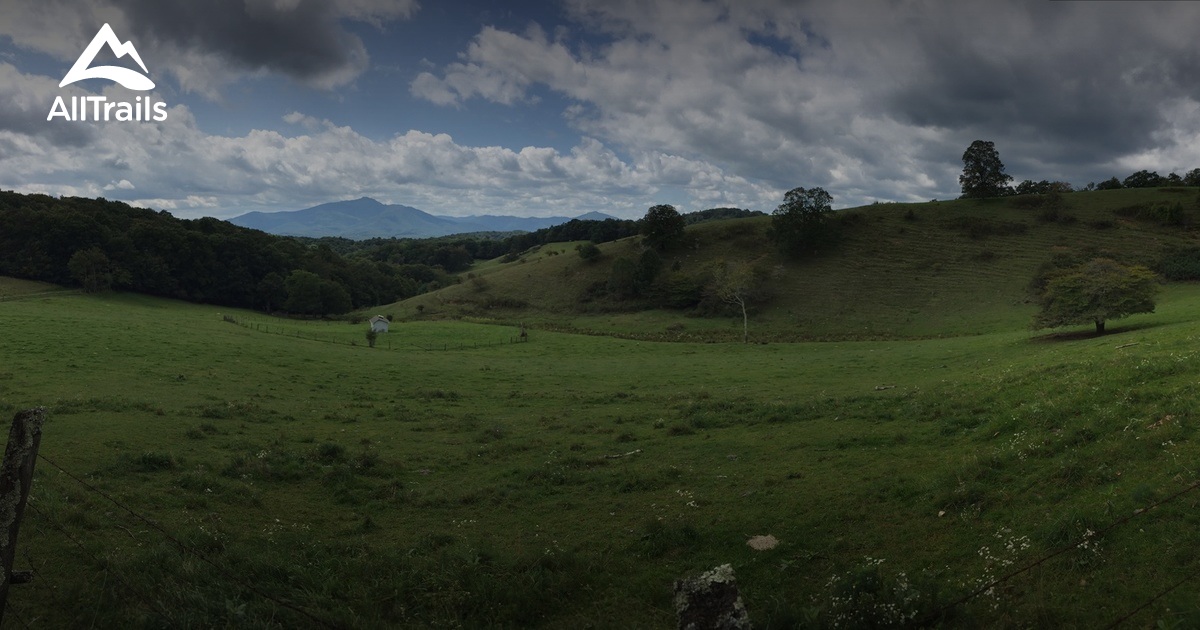 Best Trails in Moses H Cone Memorial Park - North Carolina | AllTrails