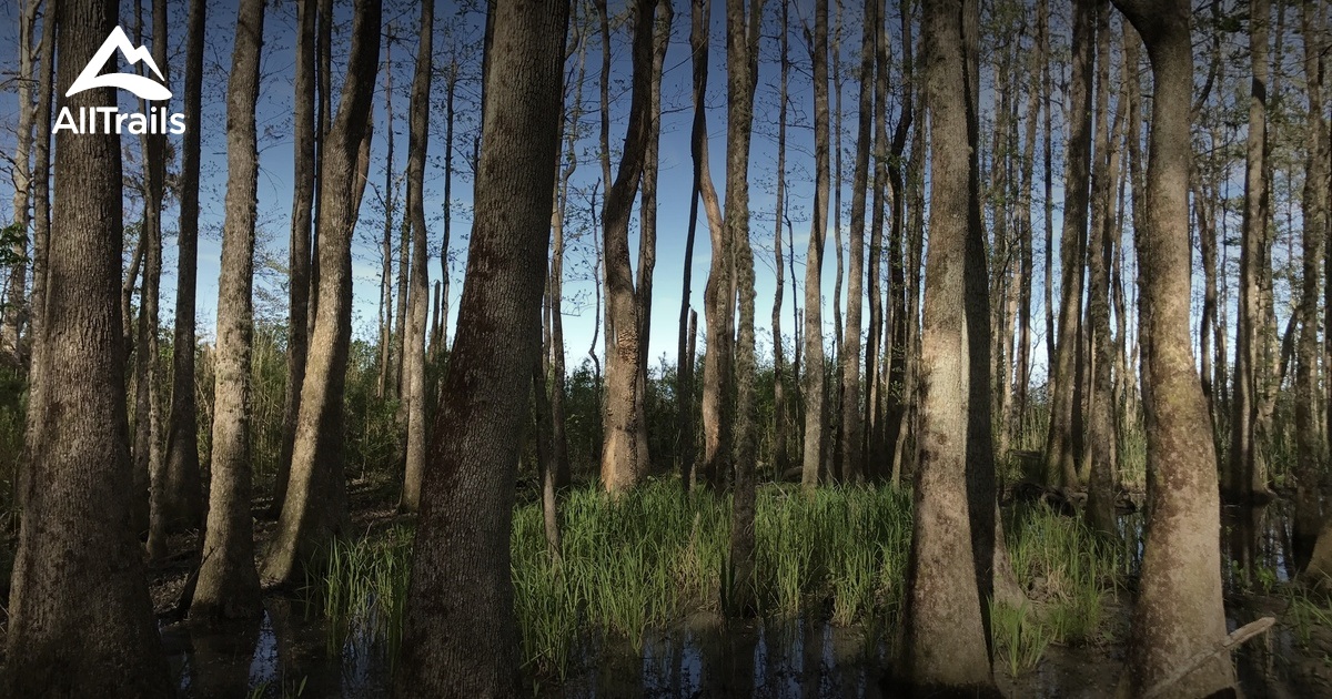 Best hikes and trails in Neuse River Recreation Site | AllTrails