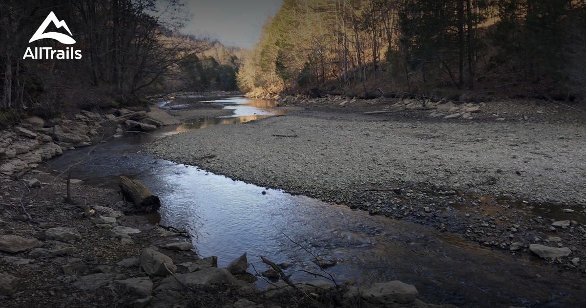 Best Trails in Salt Lick Creek Recreation Area - Tennessee | AllTrails