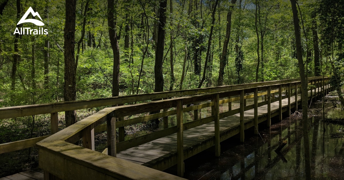 Best hikes and trails in Tailwater Access Area | AllTrails