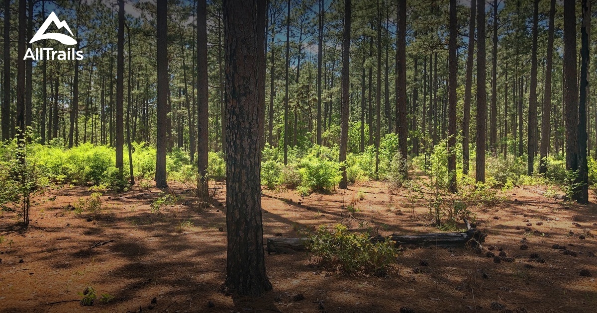 Best Trails in Big Thicket National Preserve - Texas | AllTrails