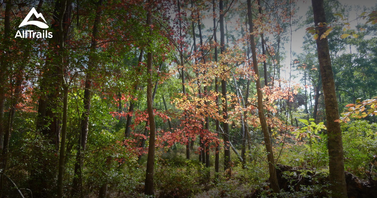 Best Trails in Double Lake Recreation Area - Texas | AllTrails