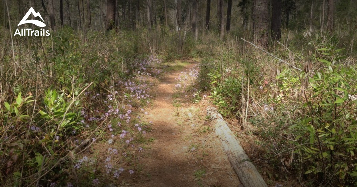 Best Trails in Double Lake Recreation Area - Texas | AllTrails