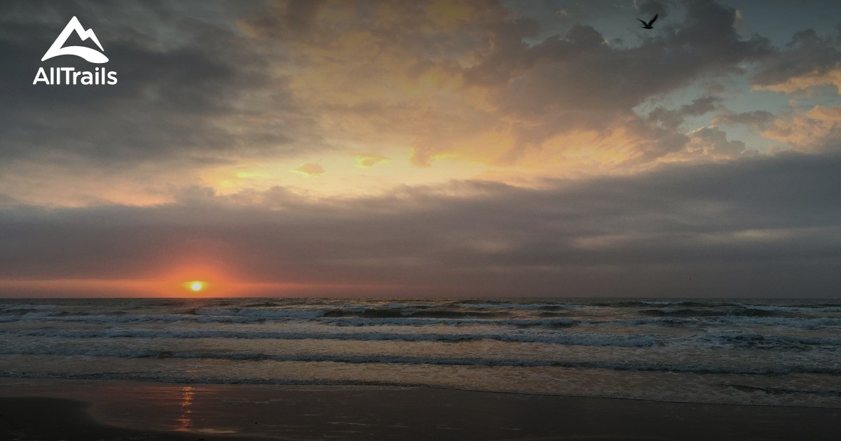 Best Trails in Padre Island National Seashore - Texas | AllTrails