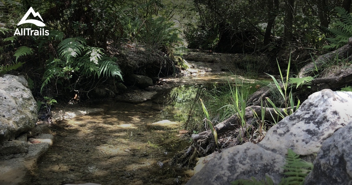 Best Trails in Wild Basin Wilderness Park - Texas | AllTrails