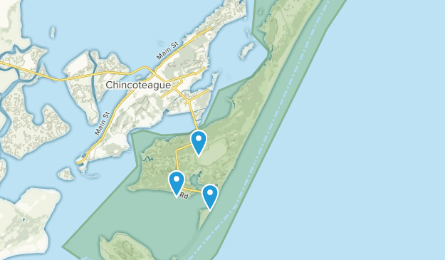 Best Trails in Chincoteague National Wildlife Refuge - Virginia | AllTrails