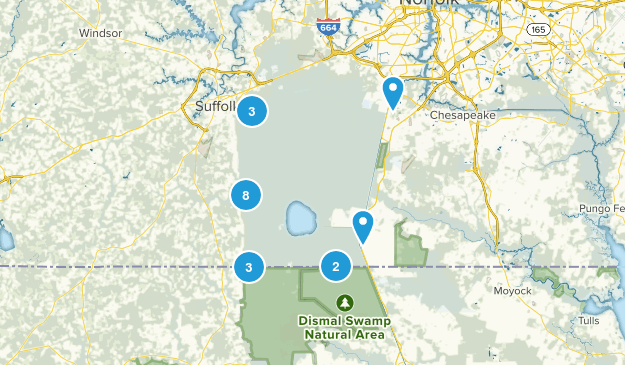 Best Trails in Great Dismal Swamp National Wildlife Refuge | AllTrails