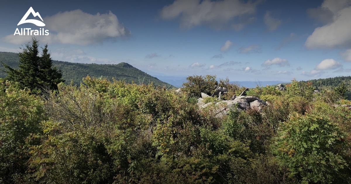 Best Trails in Mount Rogers National Recreation Area - Virginia | AllTrails