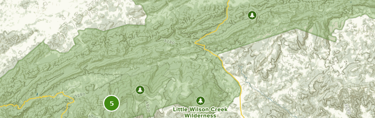 Best Trails in Mount Rogers National Recreation Area - Virginia | AllTrails