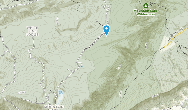 Best Trails in Mountain Lake Biological Station - Virginia | AllTrails