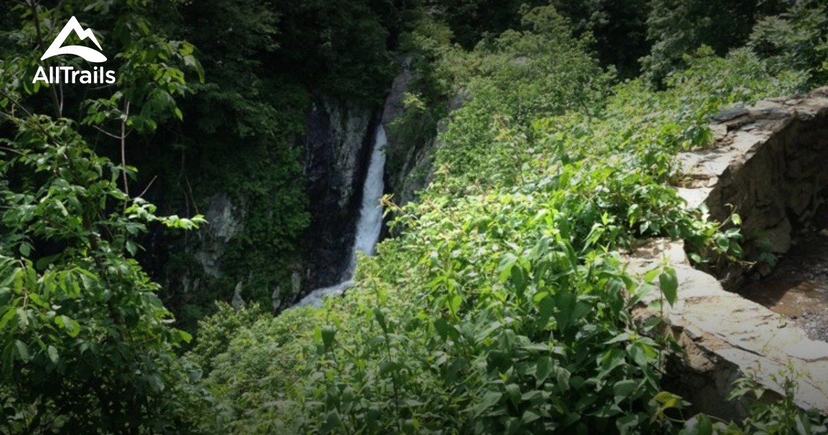 Best Trails in Rapidan Wildlife Management Area | AllTrails.com