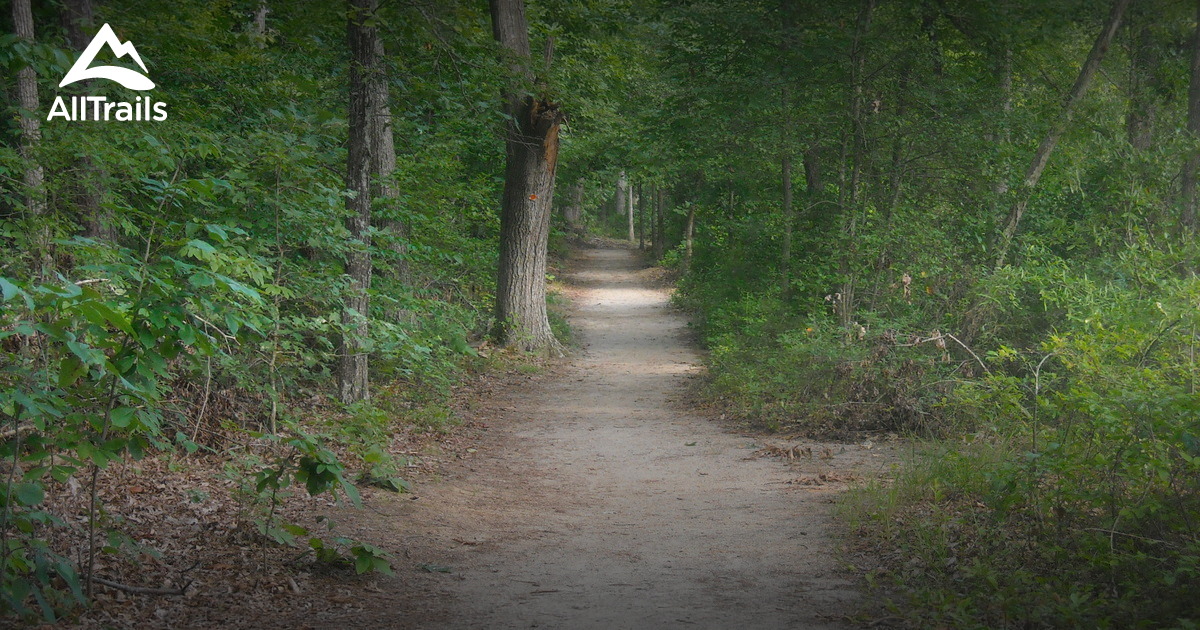 Best Hikes and Trails in Rockwood Park | AllTrails