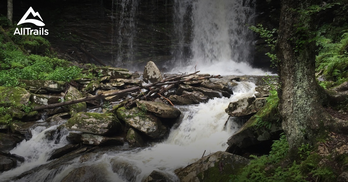 Best Trails in Cranberry Glades Botanical Area - West Virginia | AllTrails