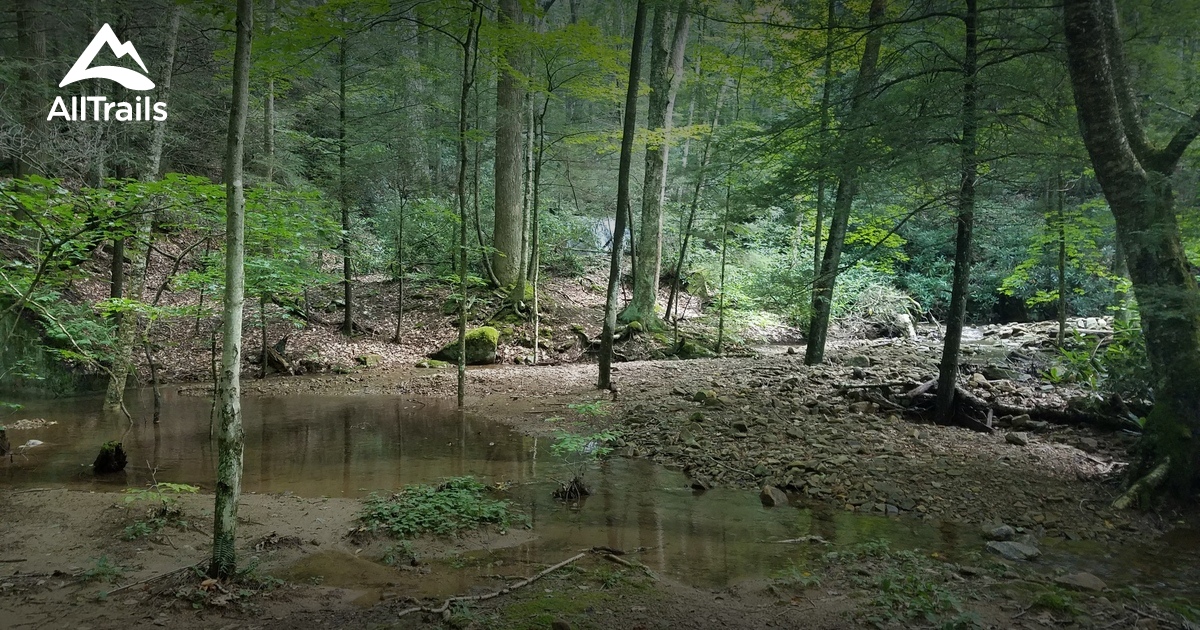 Best trails in Cranberry Wildlife Management Area, West Virginia ...