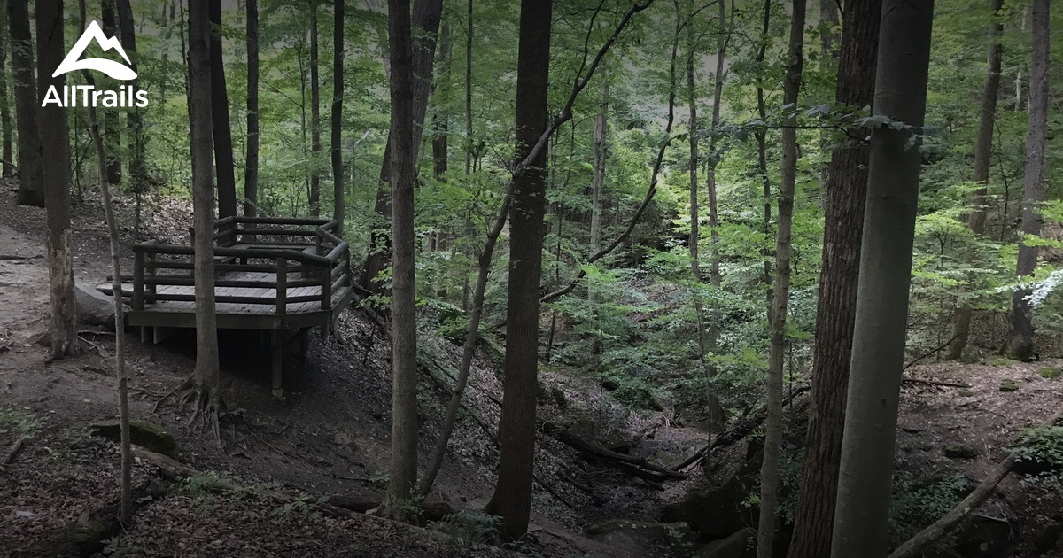 Best hikes and trails in Ritter Park Historic District | AllTrails