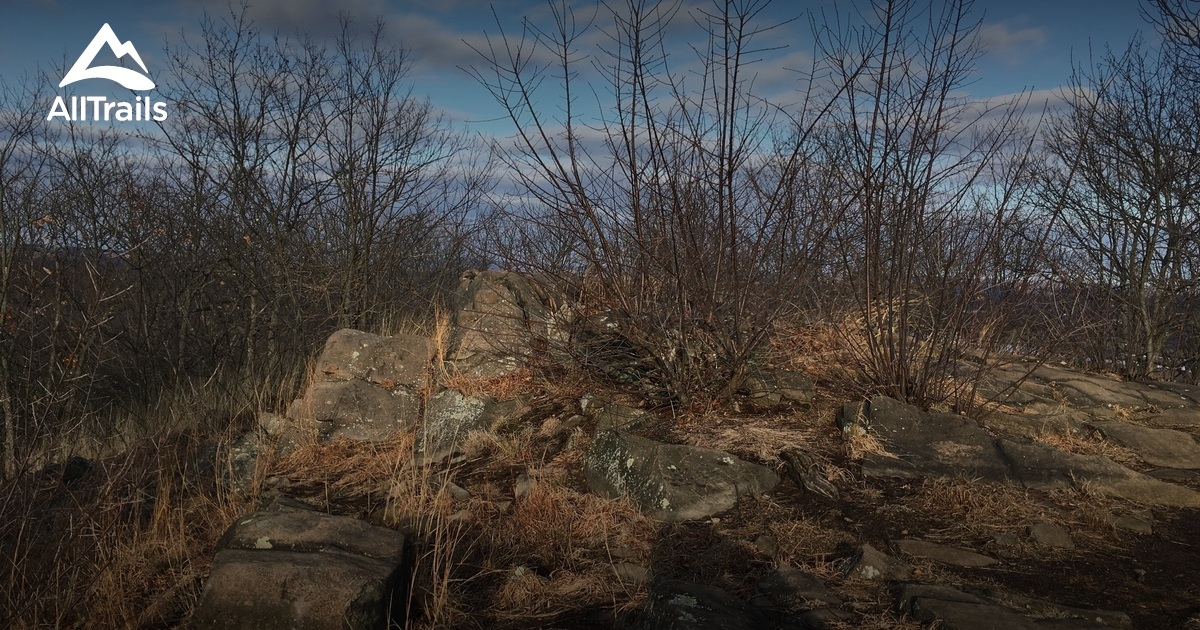 Best forest trails in East Rock Park | AllTrails