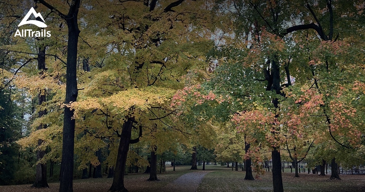 Best hikes and trails in Forest Park | AllTrails