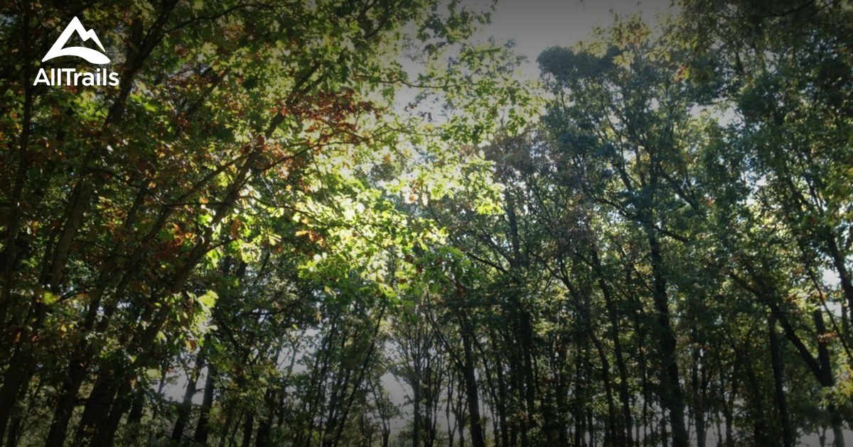 Best hikes and trails in Oak Ridge Prairie County Park | AllTrails