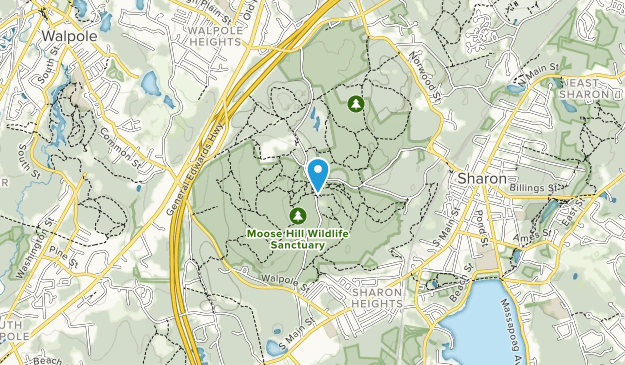 Best Trails in Moose Hill Wildlife Sanctuary - Massachusetts | AllTrails