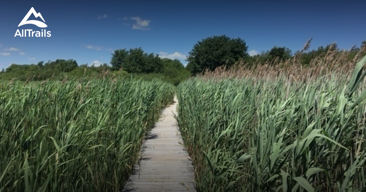 Best Trails in Parker River National Wildlife Refuge - Massachusetts ...
