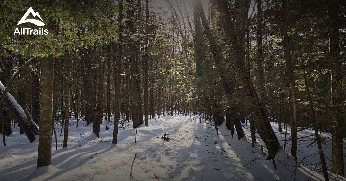 Best hikes and trails in Mast Landing Audubon Sanctuary | AllTrails