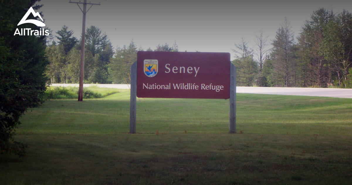 Best Trails in Seney National Wildlife Refuge | AllTrails