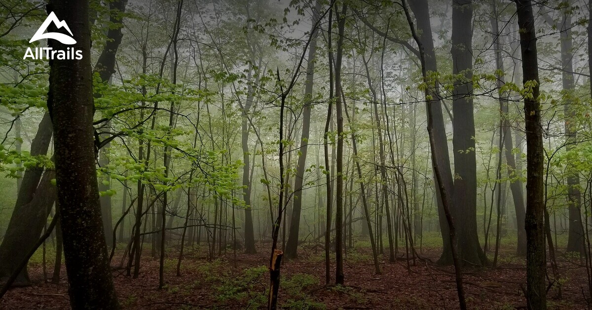 Mills Reservation : les meilleurs itinéraires avec un lac | AllTrails