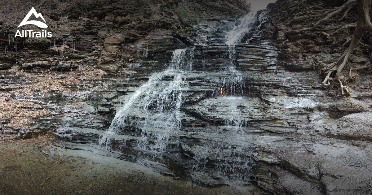 Best Trails in Chestnut Ridge Park - New York | AllTrails