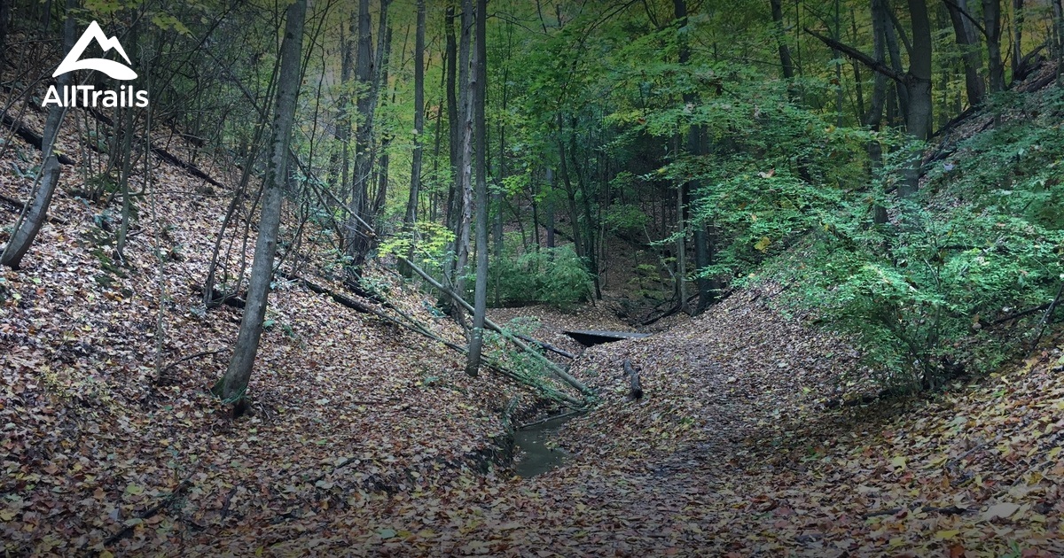 Best hikes and trails in Ellison Park | AllTrails