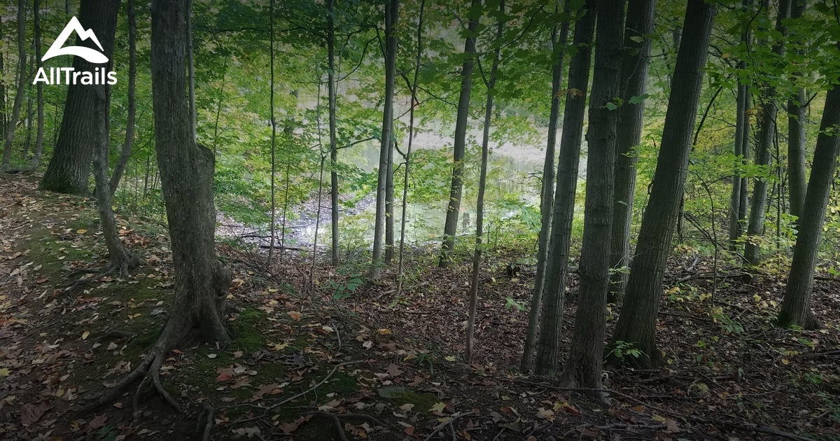 Best river trails in Greece Park | AllTrails