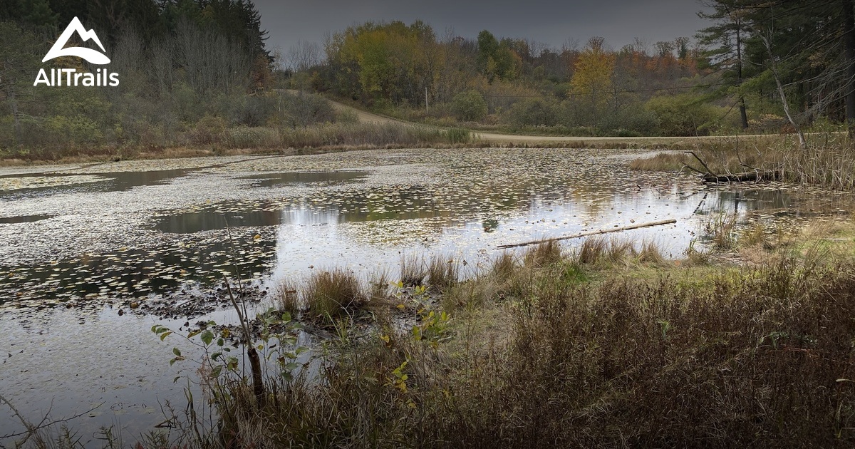 Best Hikes and Trails in Hanging Bog Game Management Area | AllTrails