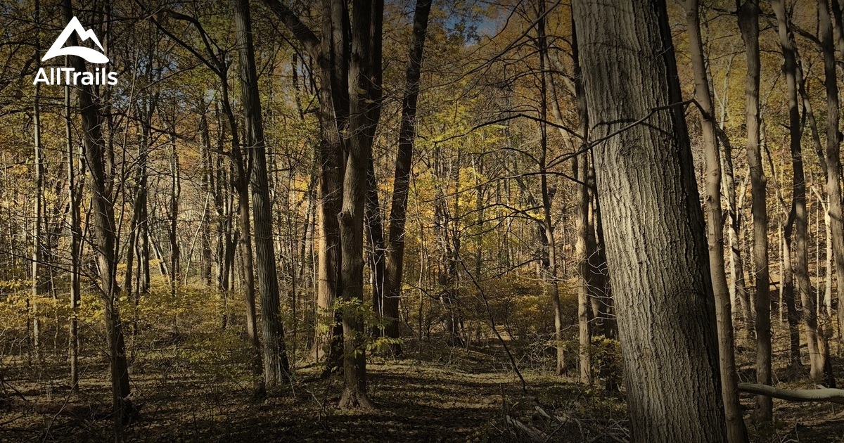 Silver Lake Park: de beste routes om te wandelen | AllTrails