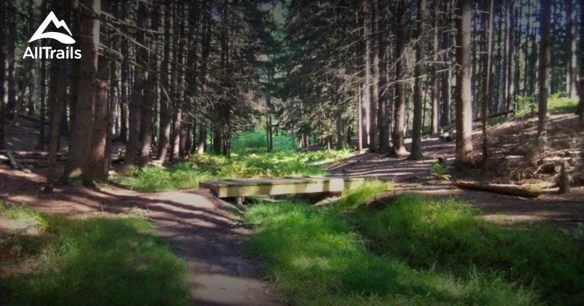 Best Trails in Webster Park - New York | AllTrails