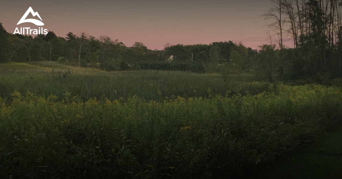 Die Besten Einfachen Routen in Center Valley Park | AllTrails