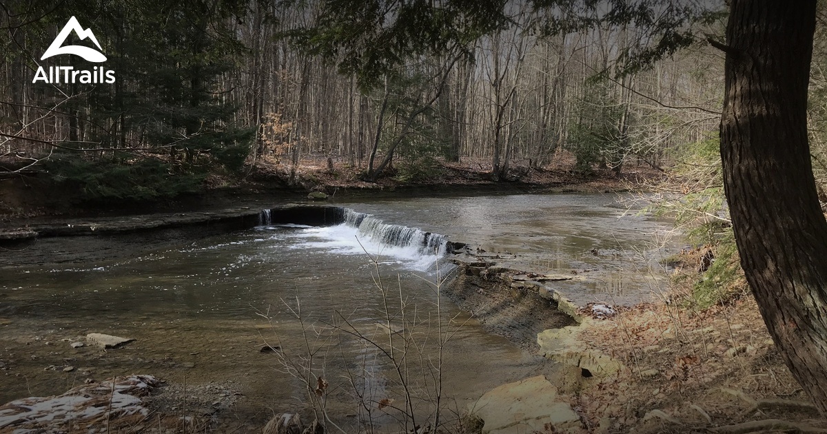 Best hikes and trails in Hogback Ridge Park | AllTrails