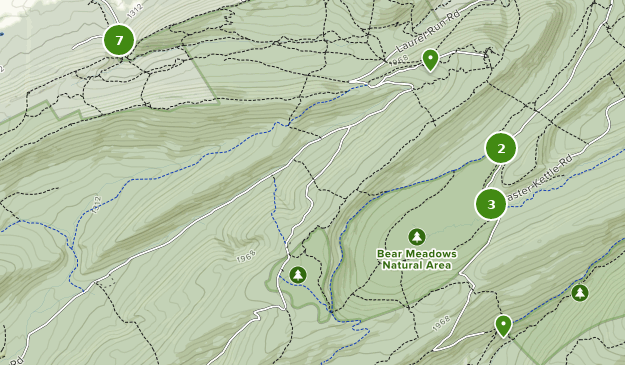 Best Trails in Bear Meadows Natural Area - Pennsylvania | AllTrails