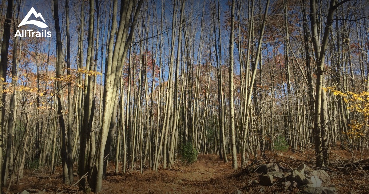 Best hikes and trails in Bear Meadows Natural Area | AllTrails