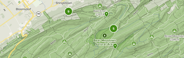 Best 10 Trails in Bear Meadows Natural Area | AllTrails
