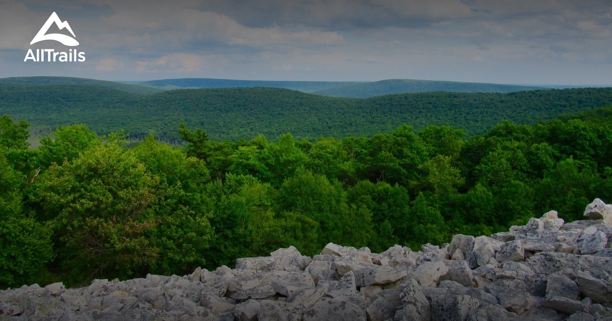 Best hikes and trails in Detweiler Run Natural Area | AllTrails