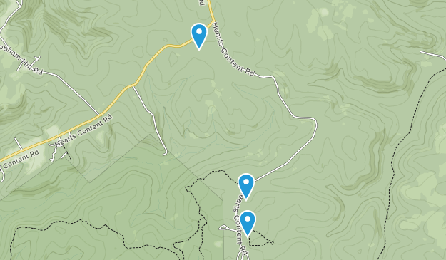 Best Trails in Hearts Content Recreation Site - Pennsylvania | AllTrails