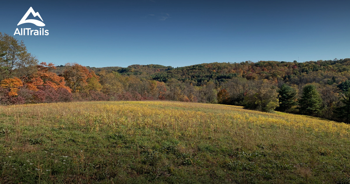 Best Trails in Mingo Creek County Park - Pennsylvania | AllTrails