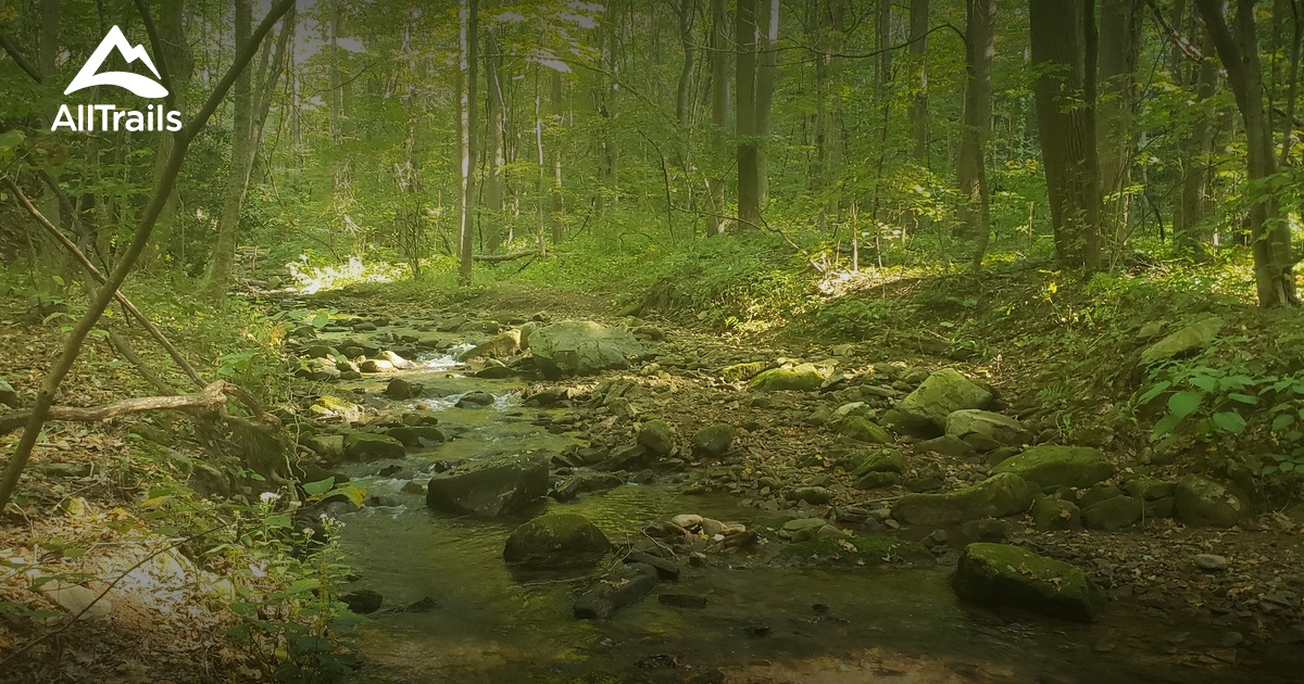 Best hikes and trails in Roaring Run Natural Area | AllTrails