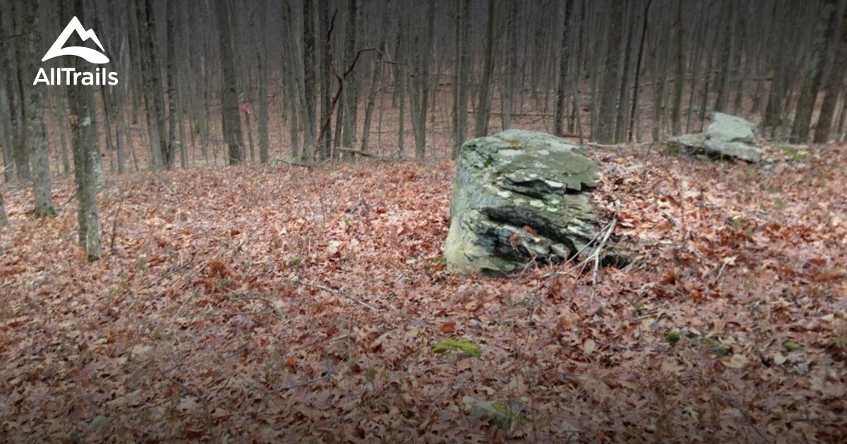 Best hikes and trails in State Game Lands Number 209 | AllTrails