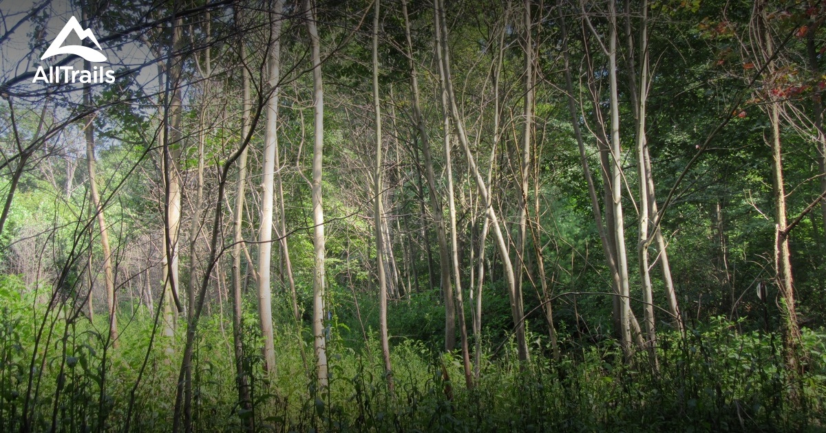 Best long trails in Weiser State Forest | AllTrails